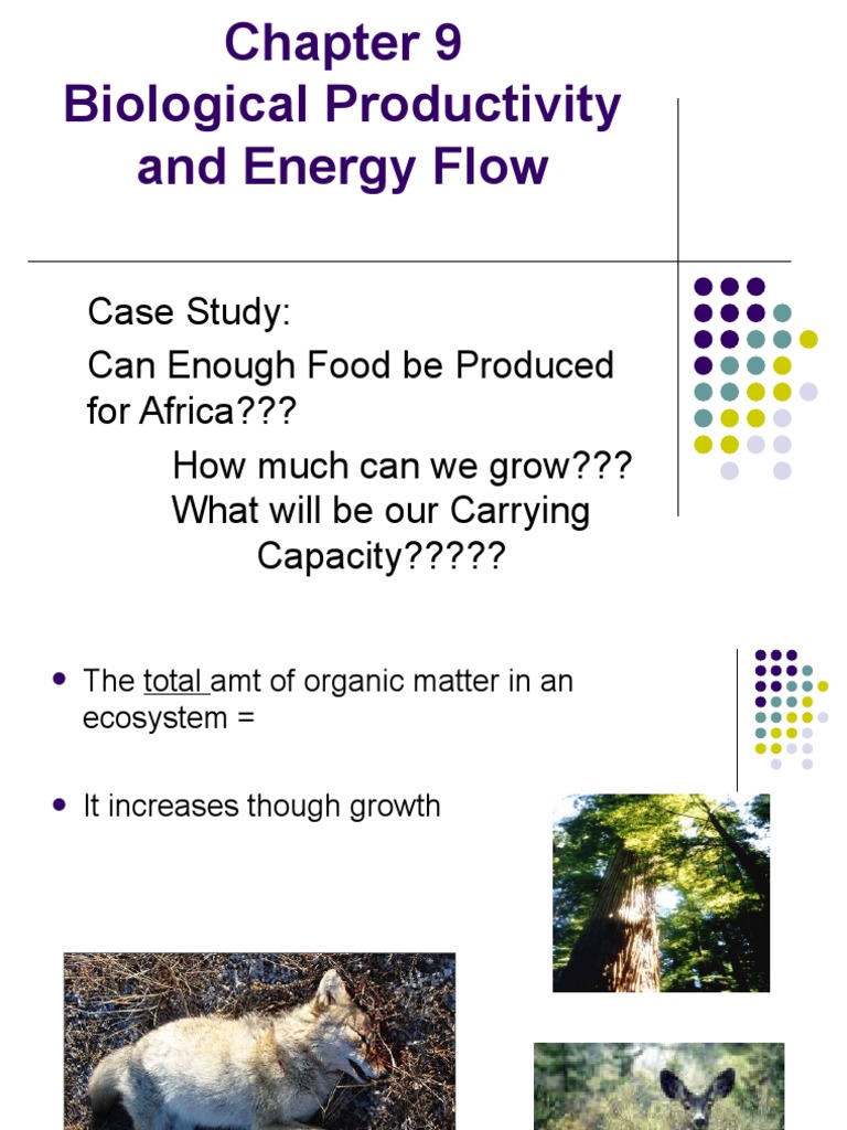 Chapter 9 Power Point | PDF