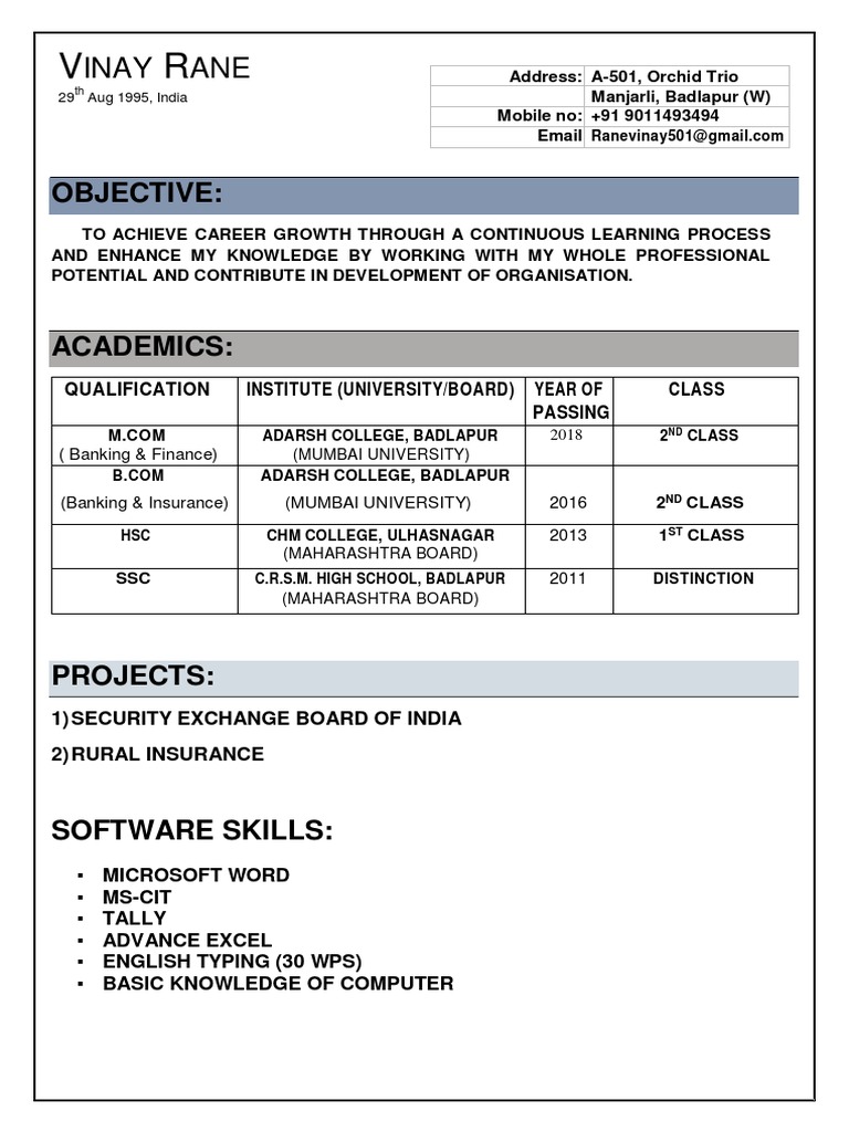 Vinay Rane: Career Profile Summary | PDF