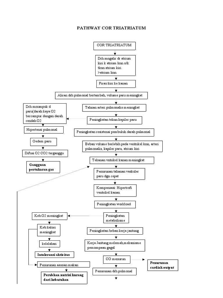 Pathway Cor Triatrium | PDF