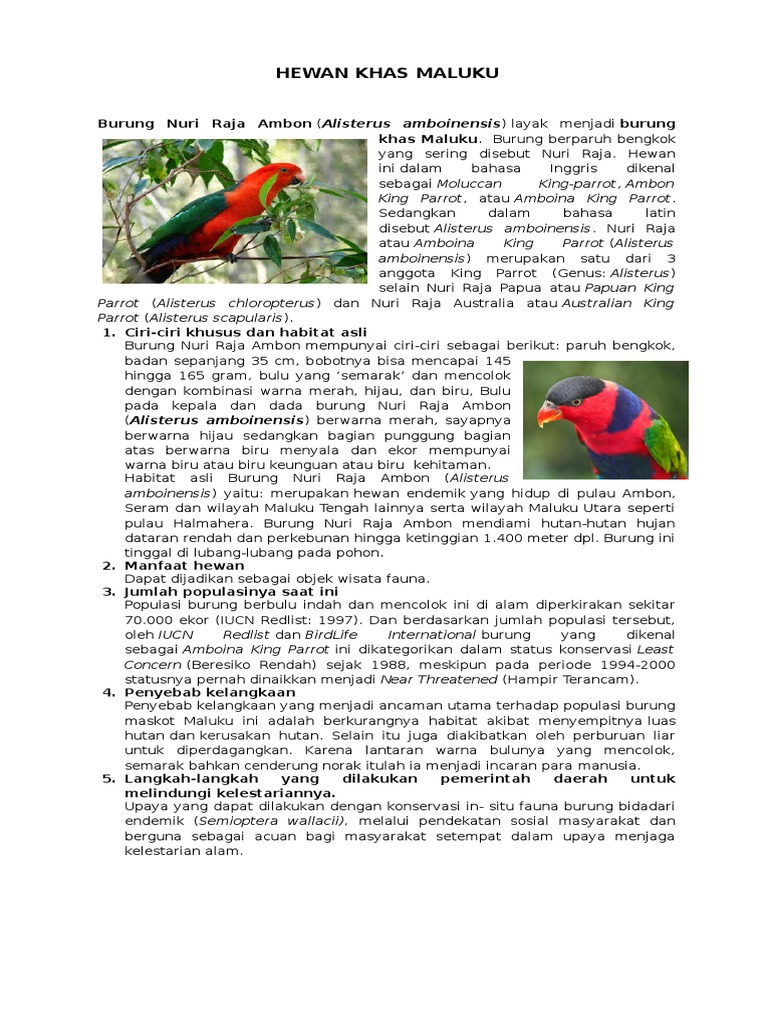 Burung Nuri | PDF