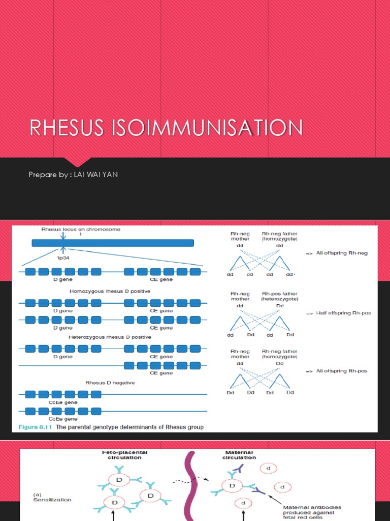 O&G Rhesus Isoimmunisation | PDF