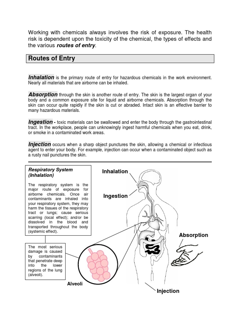Chemical exposure risks: Inhalation, absorption, ingestion & injection ...