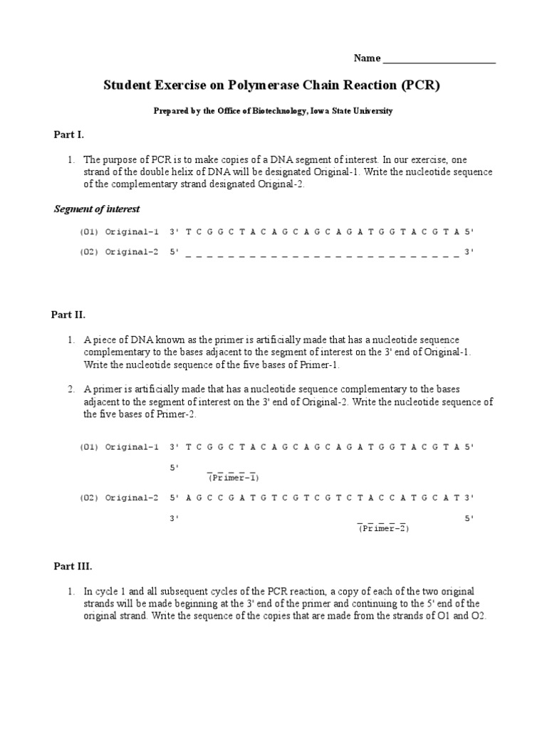 Student Exercise On PCR | PDF | Primer (Molecular Biology) | Nucleic ...