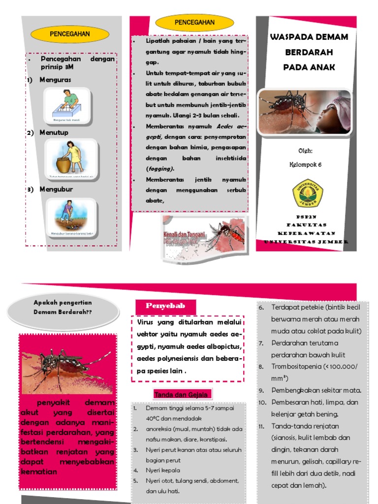 Leaflet DHF | PDF
