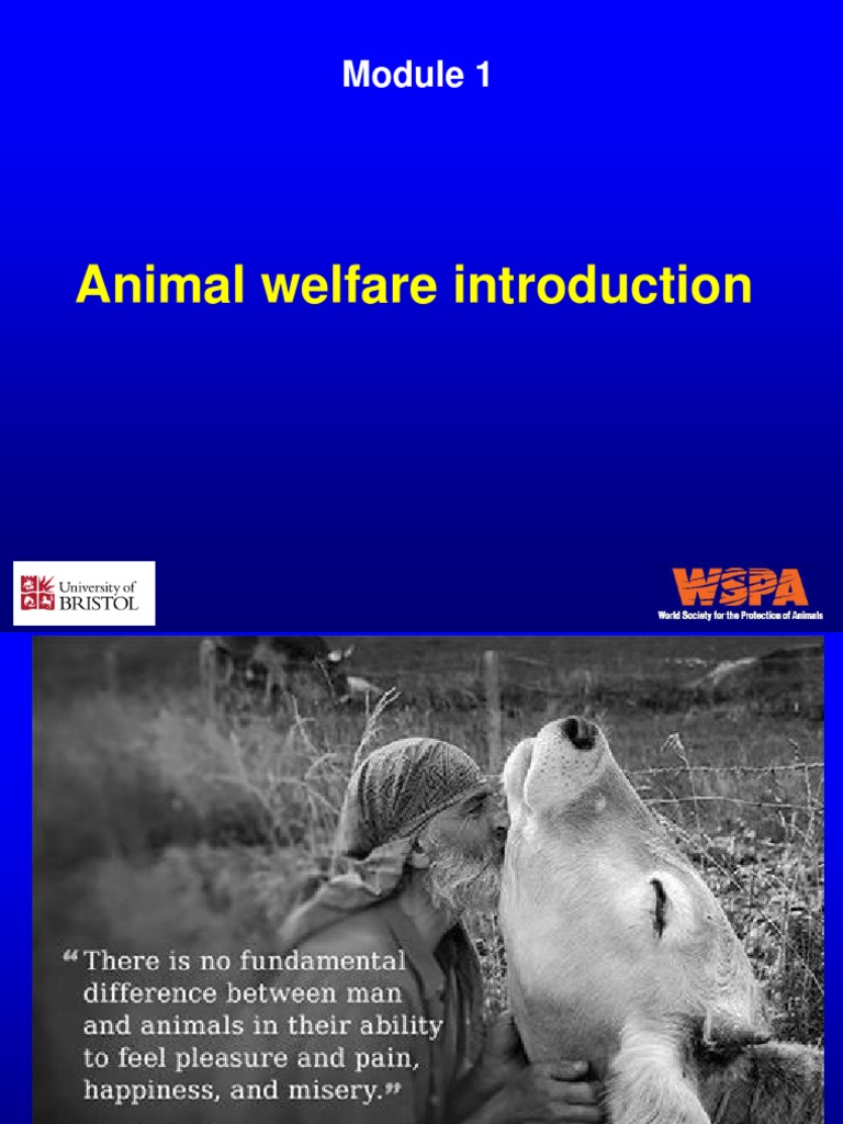 Introduction to Animal Welfare Concepts | PDF | Animal Welfare | Ethology