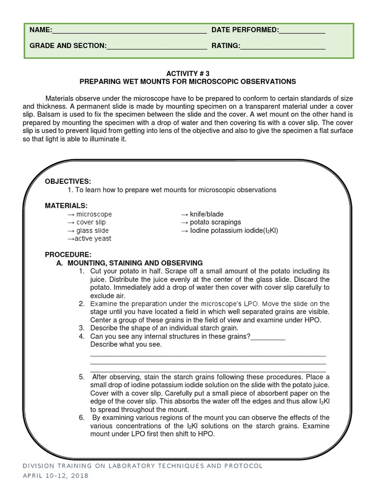 Activity #4 Preparing Wet Mounts For Microscopic Observations | PDF ...