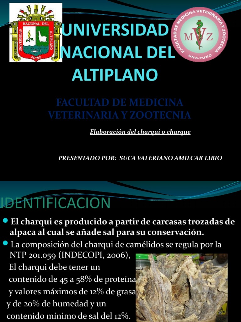 Proceso de Elaboración del Charqui de Alpaca | PDF | Carne | sal