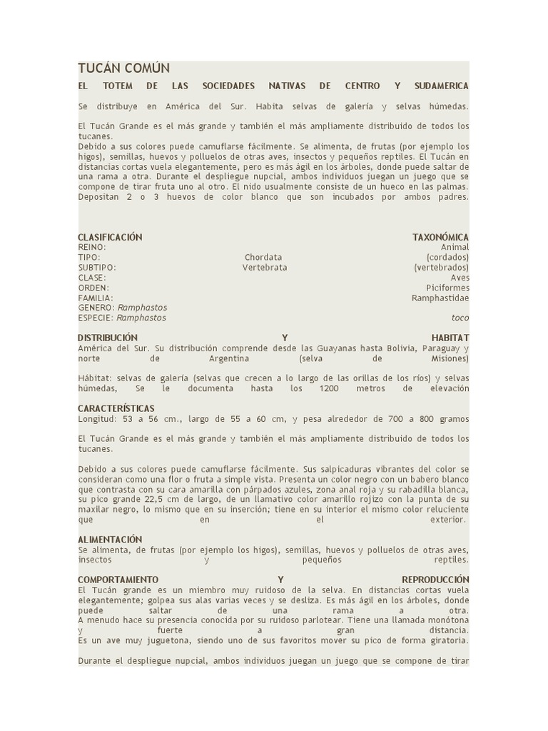 El Tucan | PDF | Dinosaurios | Paravianos