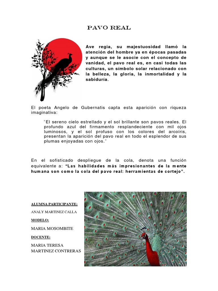 Pavo Real | PDF