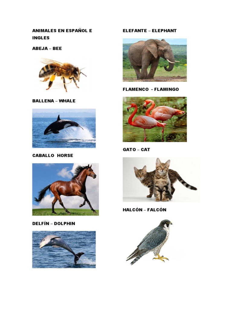 Animales en Español e Ingles | PDF