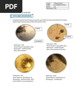 Panduan Praktikum Analisis Aktivitas Antioksidan Metode DPPH ...