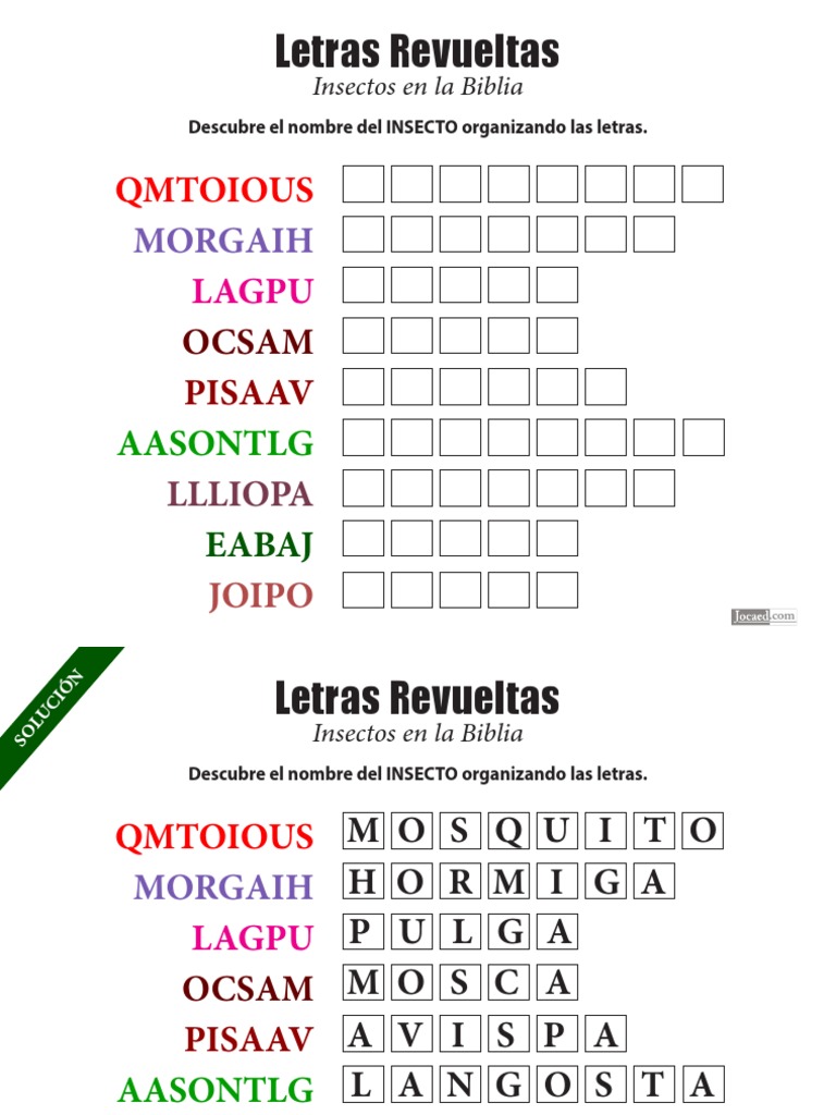 Letras Revueltas Insectos Biblia