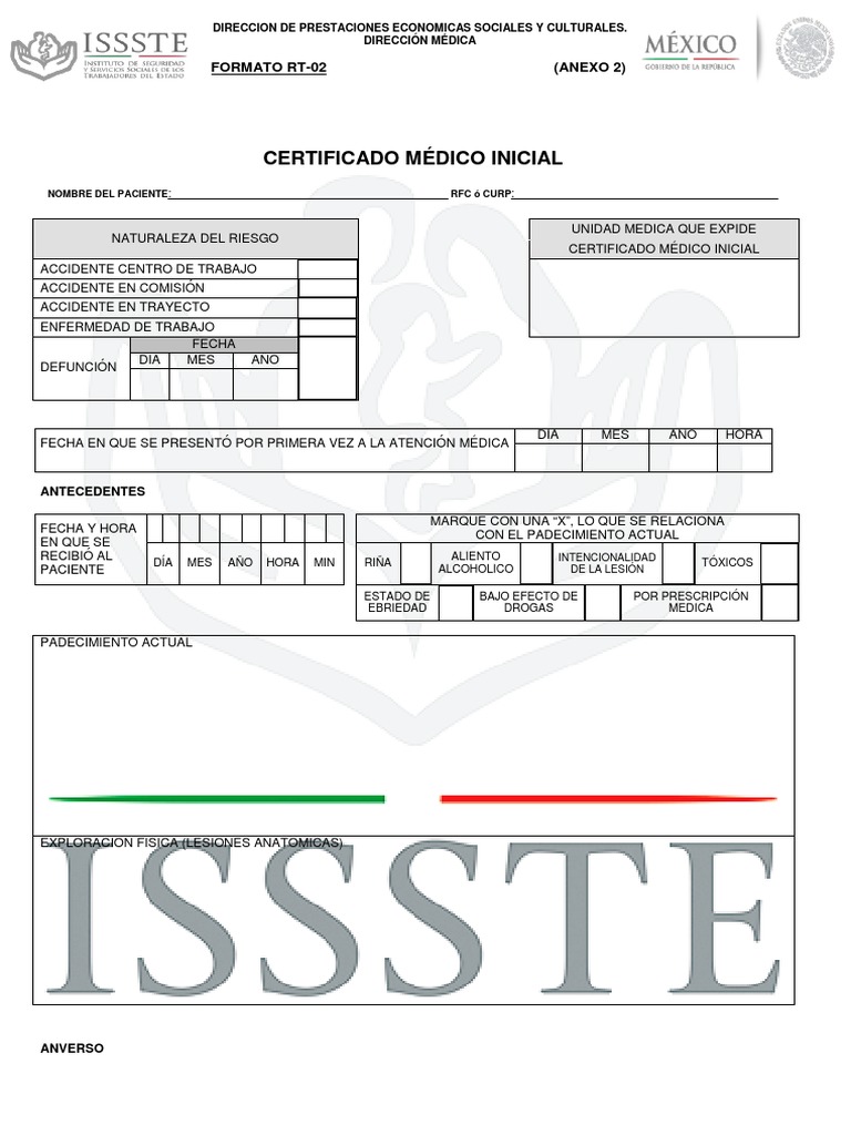 Formatos RT - 02 | PDF