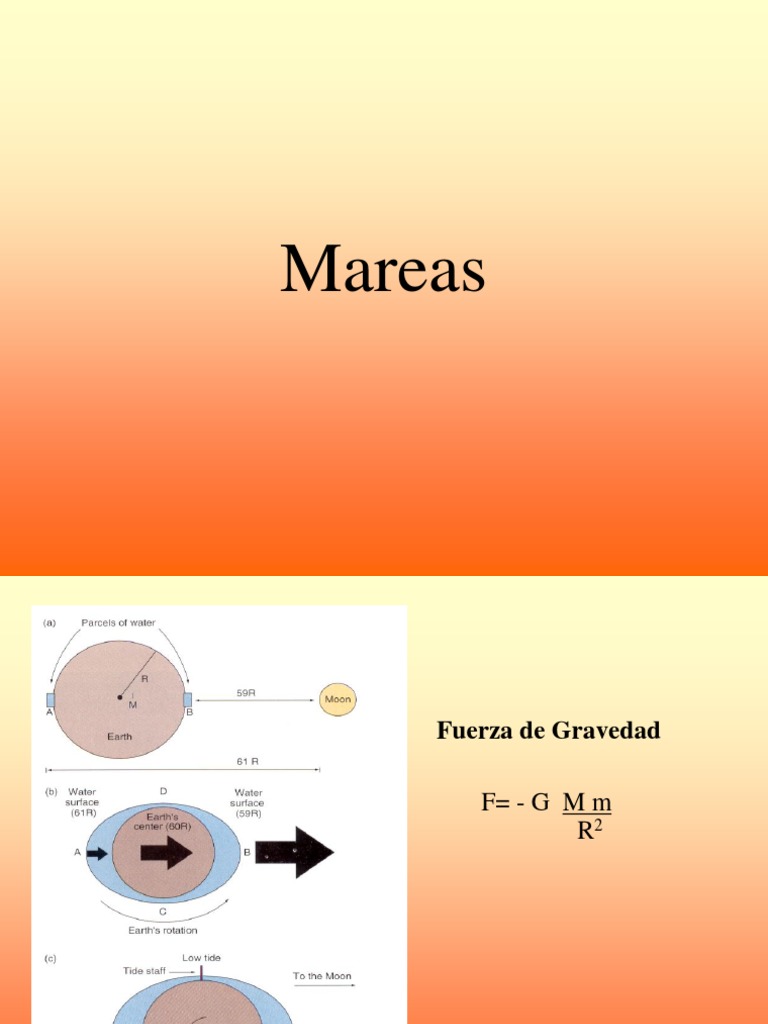 Análisis y Predicción de Mareas | PDF | Marea | Mínimos cuadrados