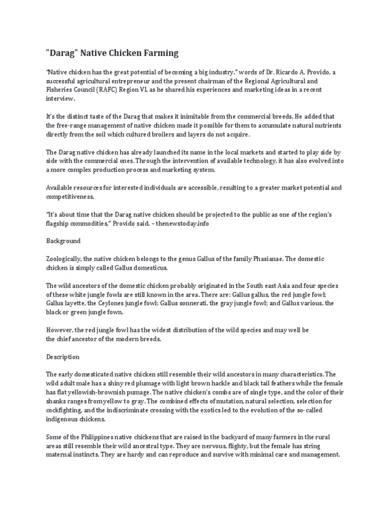 DARAG Native Chicken Primer | PDF | Chicken | Birds