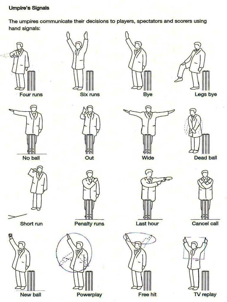 Cricket Umpire Signals | PDF