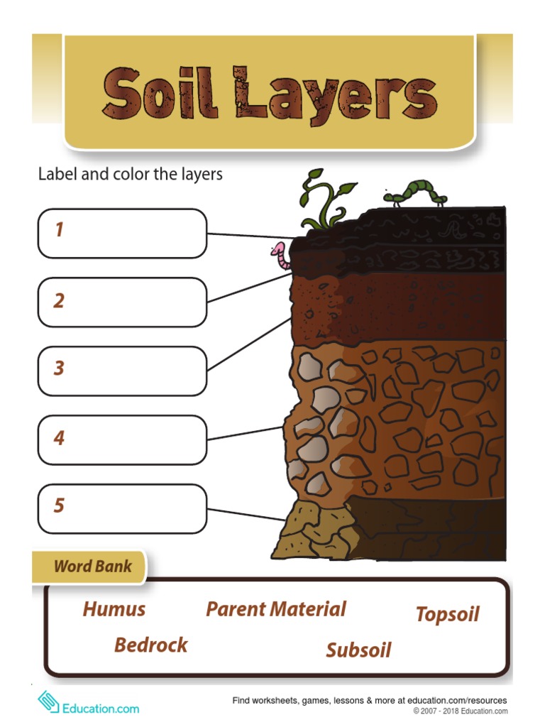 Soil Profile Worksheet