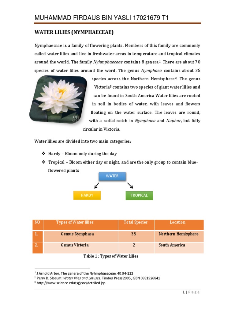 Exercises Water Lilies | PDF | Aquatic Organisms | Plants