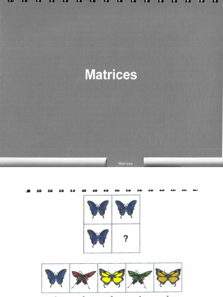 Matrices Wisc | PDF