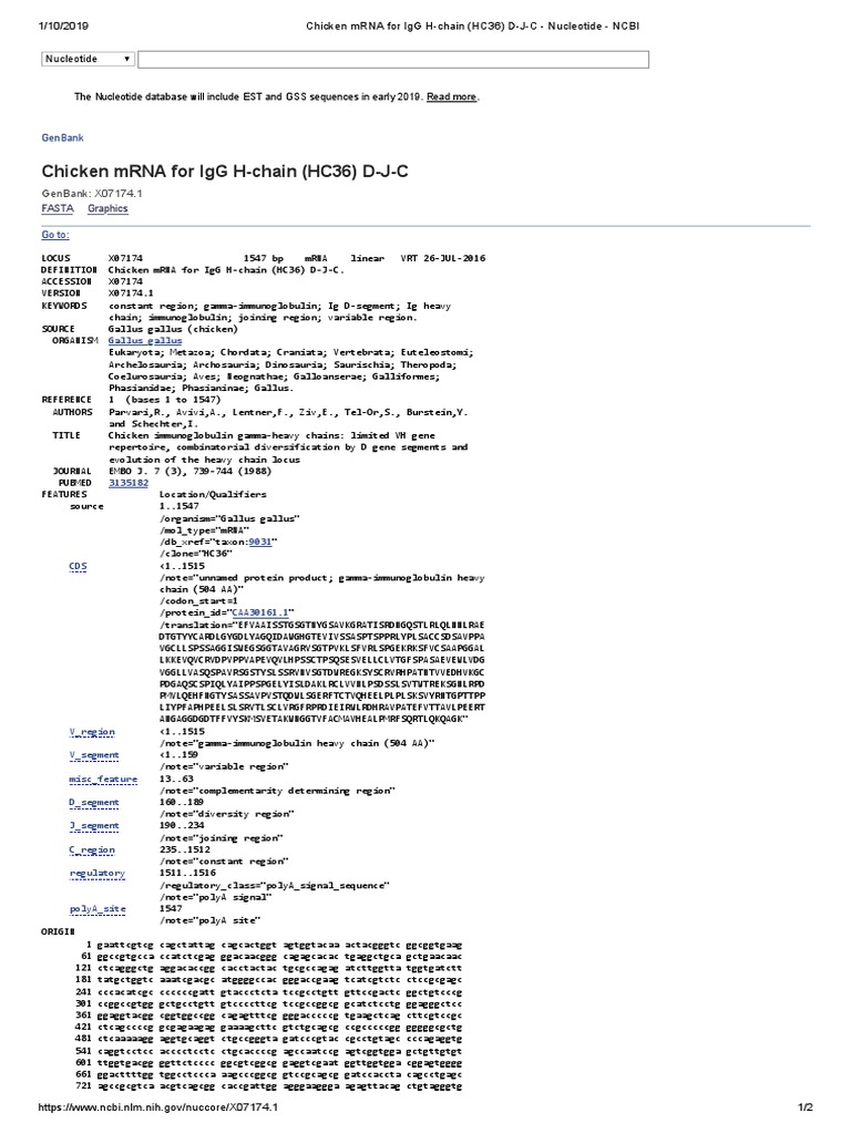 Chicken MRNA For IgG H-Chain (HC36) D-J-C - Nucleotide - NCBI | PDF ...