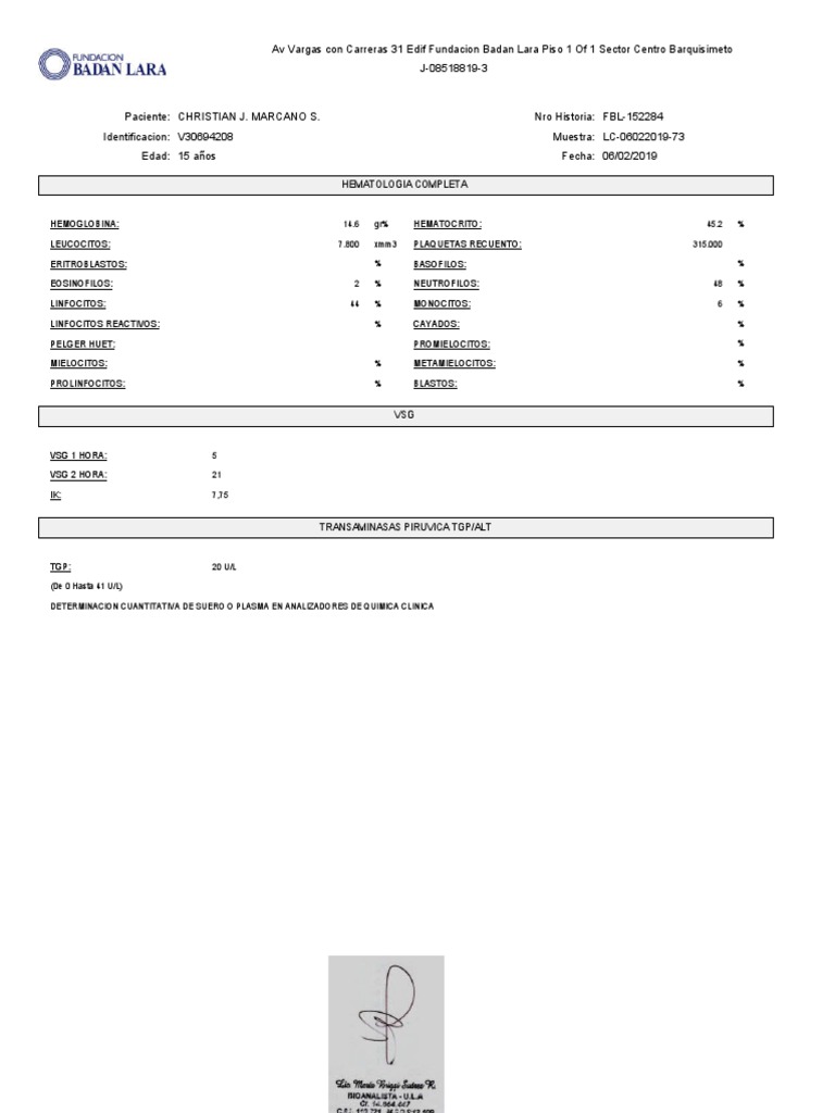 Christian Jesus Marcano Segovia PDF | PDF