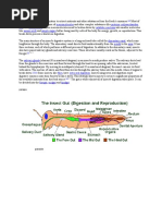 Insect Digestive System Overview | PDF | Protease | Polysaccharide