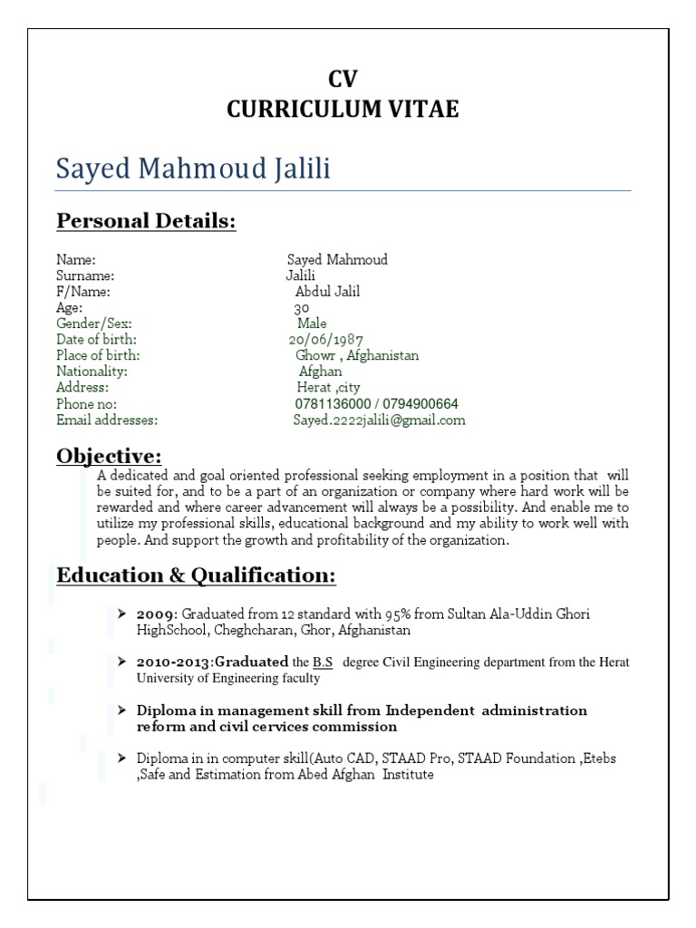 Civil Engineer's Career Profile | PDF | Afghanistan | Engineering