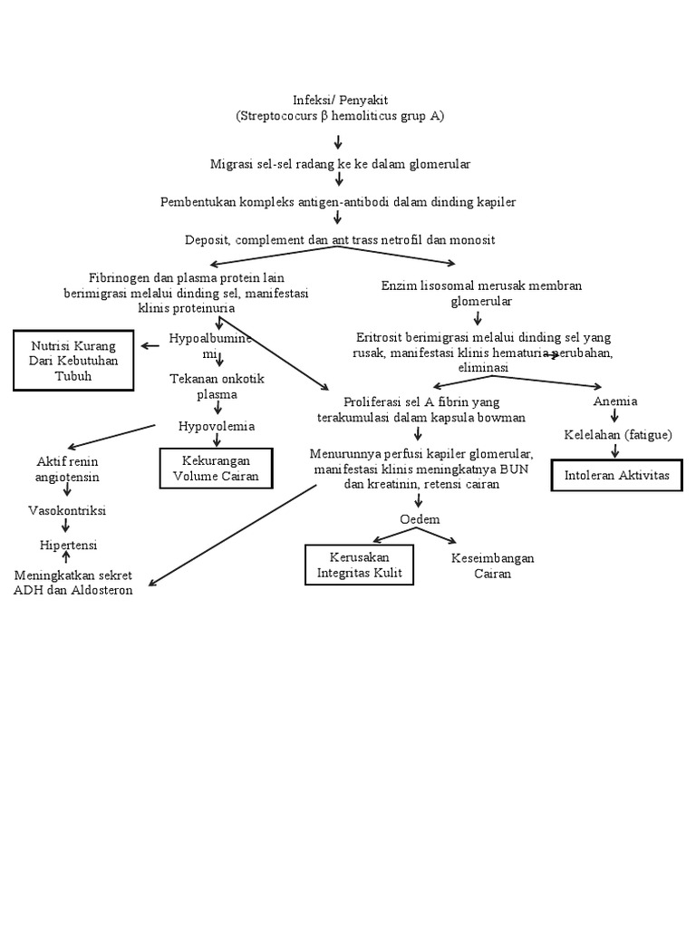 Pathway Glomerulonefritis | PDF