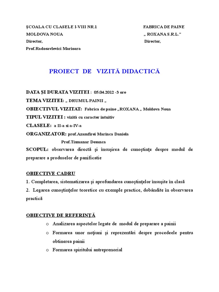 Proiect Vizita La Fabrica | PDF