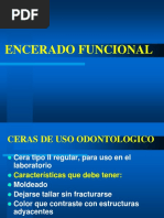 Oclusion Fosa Cuspide | PDF | Anatomia dental | Diente