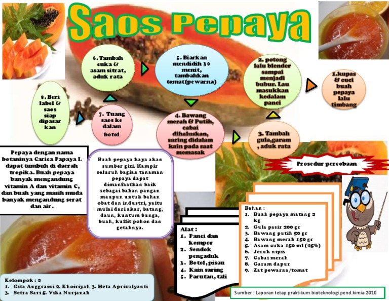 Poster Saos Pepaya | PDF