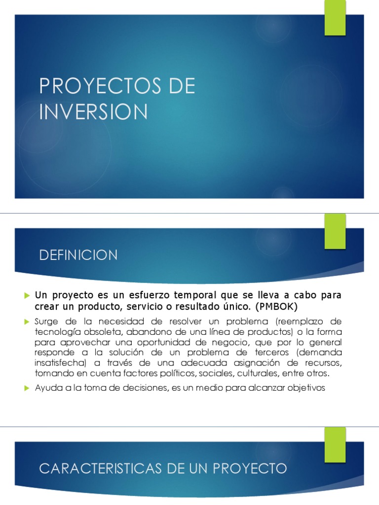 Proyectos de Inversion | PDF | Planificación | Logística