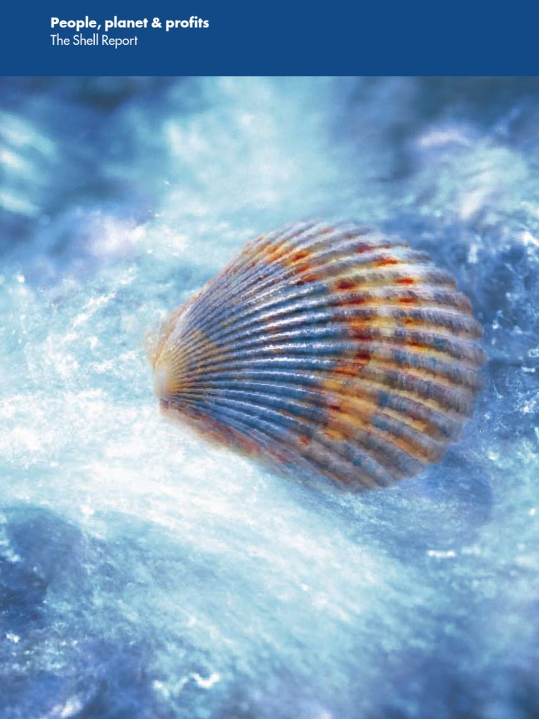 Shell Sustainability Report 2000 Pdf Pdf Royal Dutch Shell