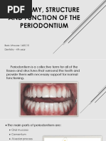 Anatomy of the Periodontium Explained | PDF | Human Tooth | Anatomy