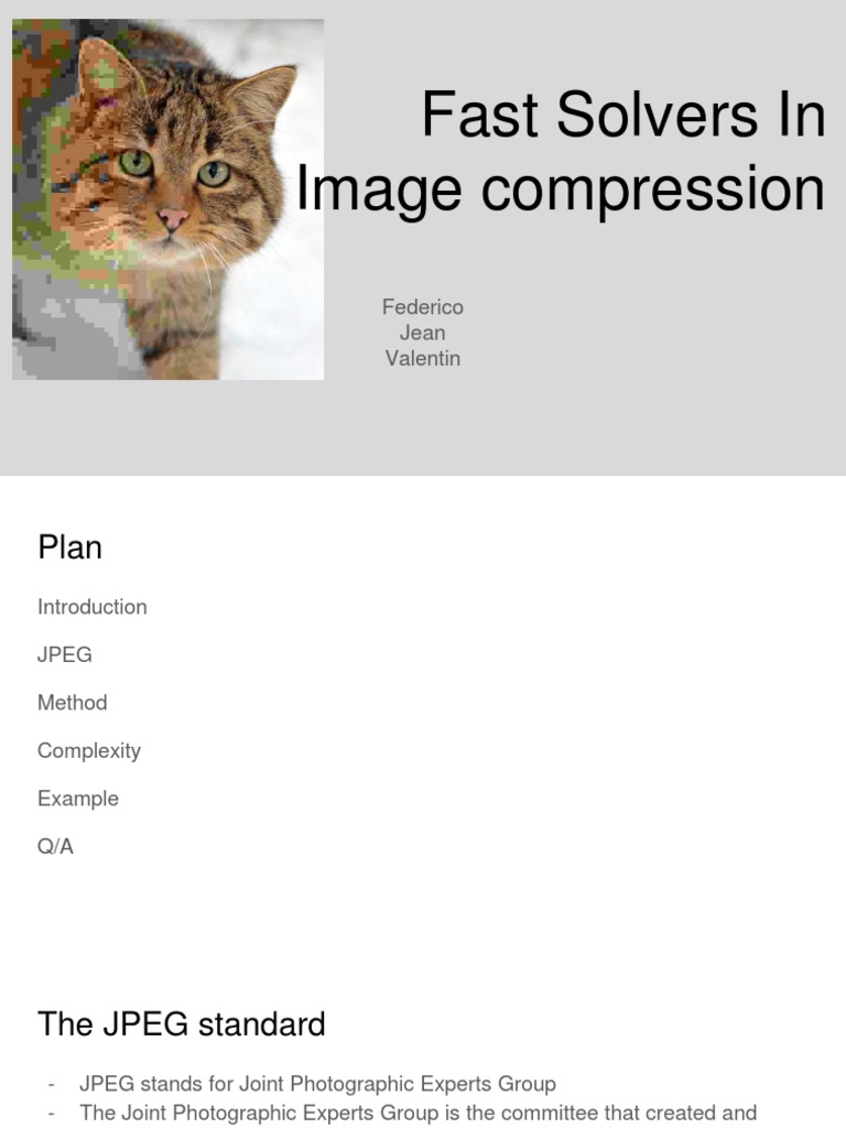 Fast Solvers in Image Compression: Federico Jean Valentin | PDF | Data ...