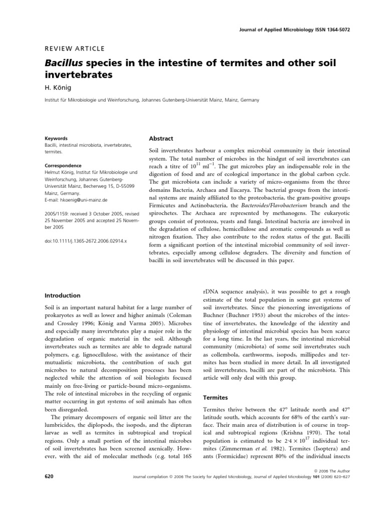 Bacillus Species in The Intestine of Termites and Other Soil ...