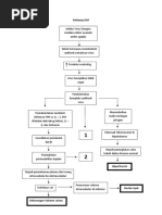 Pathway DBD pada Anak dan Dewasa | PDF