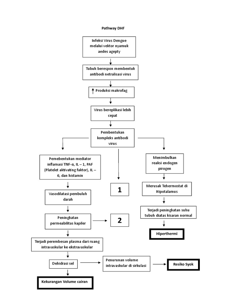 Pathway Komplikasi Dengue Hemoragik (DHF) | PDF