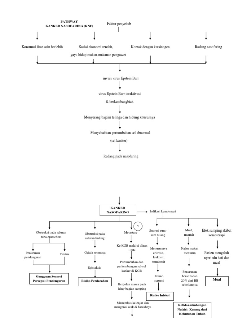 Faktor Penyebab Kanker Nasofaring dan Gejalanya | PDF