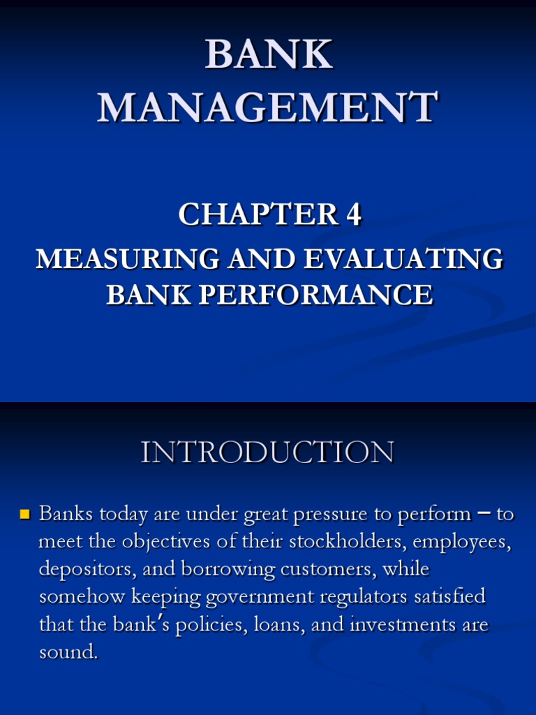Measuring Bank Performance: Evaluating Profitability, Risk, and ...