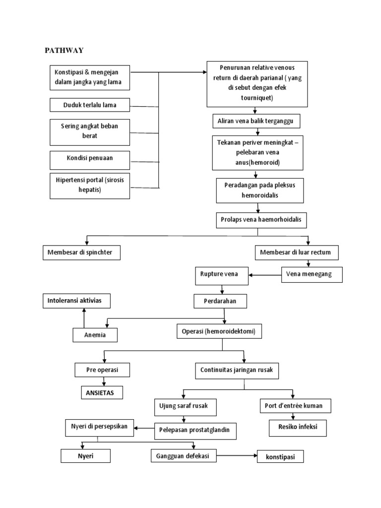 PATHWAY Hemoroid | PDF