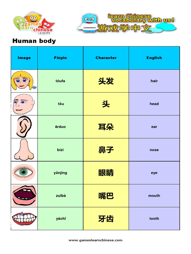 Learn Chinese body parts | PDF