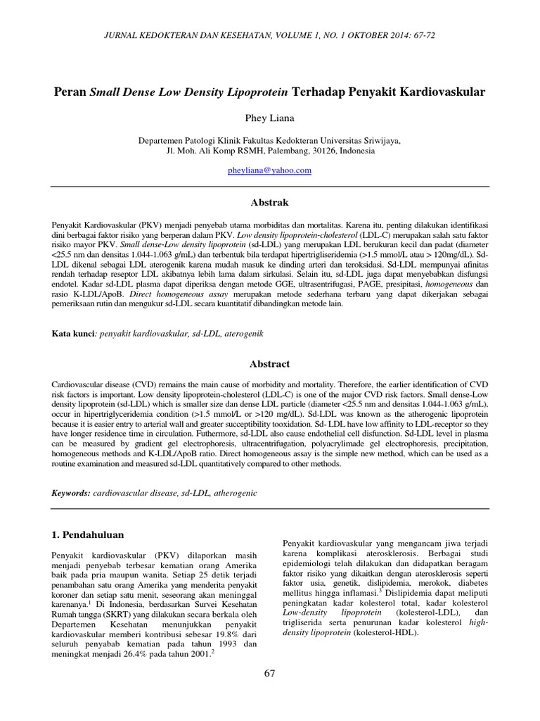 Antioxidant Dari Straw, Blu, Rasp | PDF | Lipoprotein Densitas Rendah | Aterosklerosis