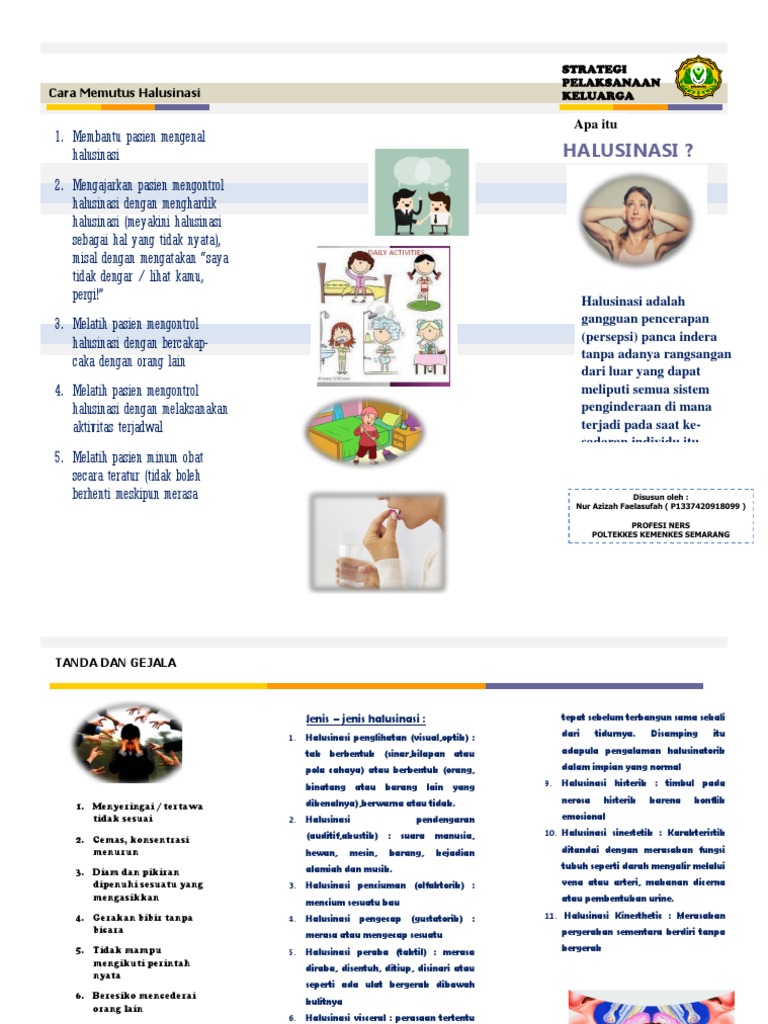 Leaflet SP Keluarga Halusinasi | PDF