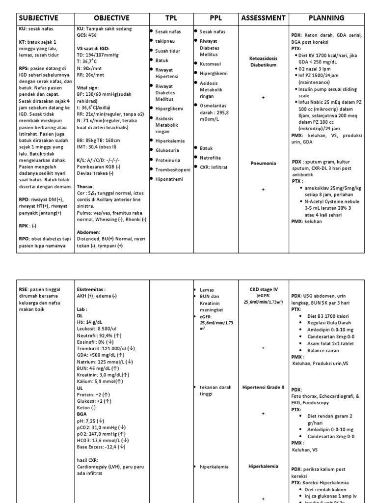 Subjective Objective TPL PPL Assessment Planning | PDF