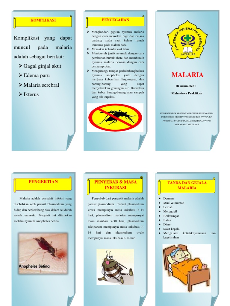 Leaflet Malaria | PDF