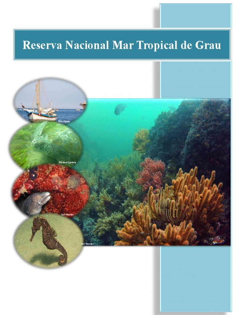 Reserva Nacional Mar de Grau | Biodiversidad | Perú