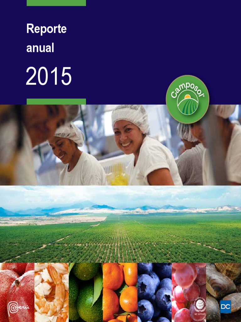 Annual Report Csol 2015 VF - En.es | PDF | Calidad (comercial) | Perú