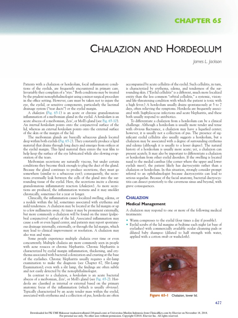 Pfenninger and Fowler's Procedures For Primary Care - Chalazion N Hordeolum | PDF | Medical ...