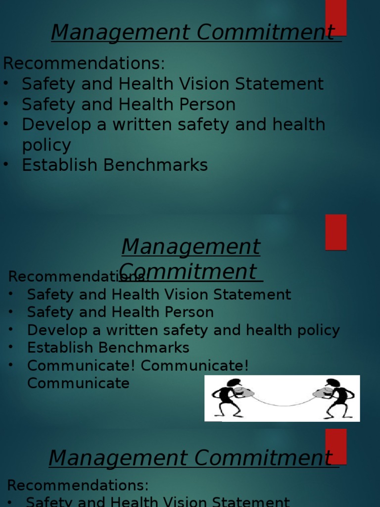 Management Commitment | PDF